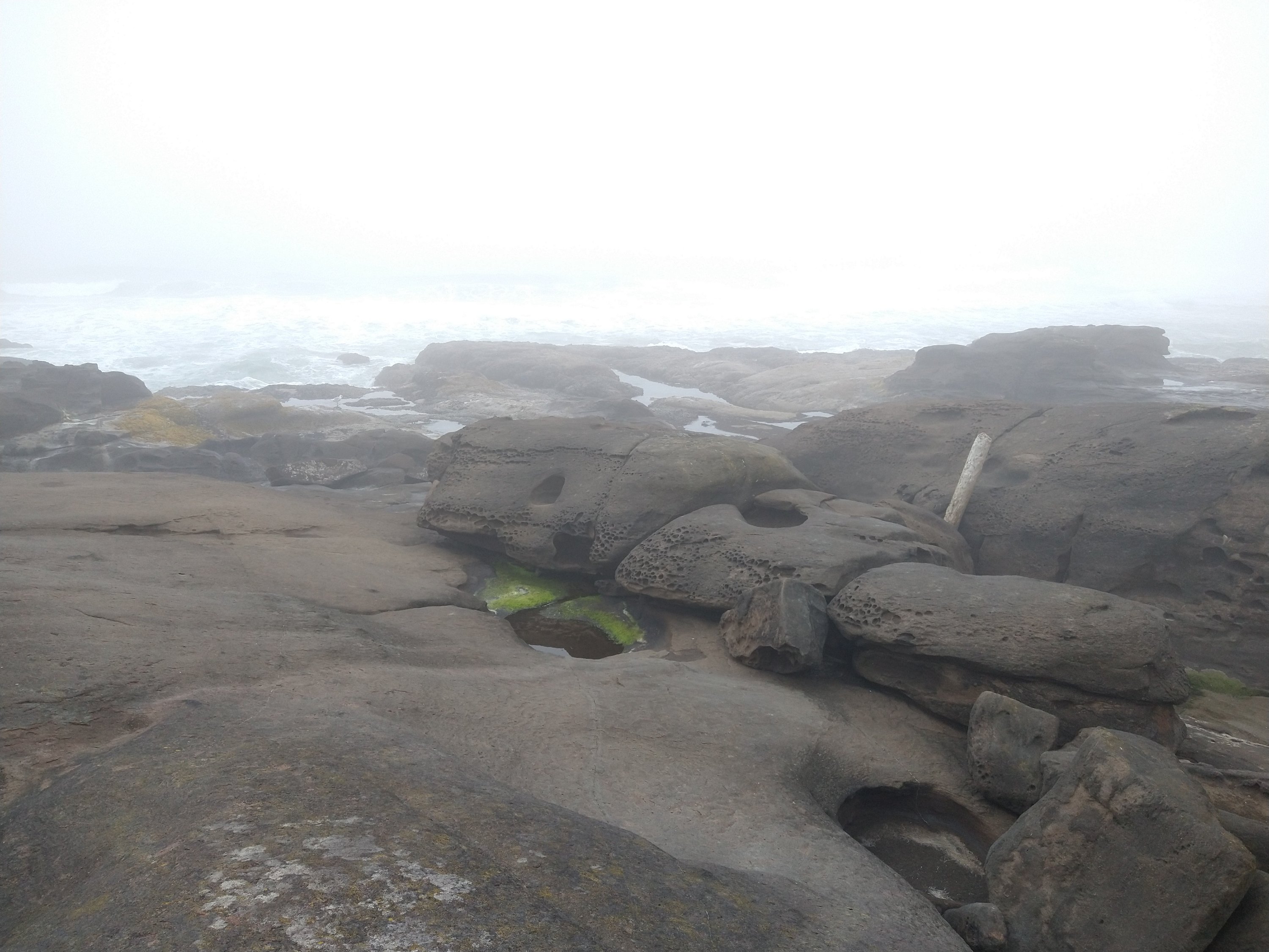 Vanishing Mist | Walking on Water