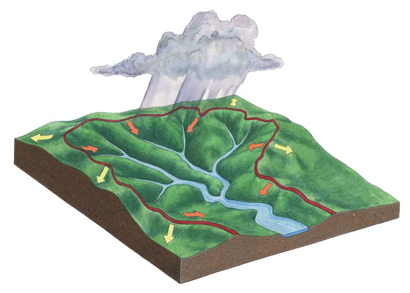 Watershed Wanderings | Walking on Water